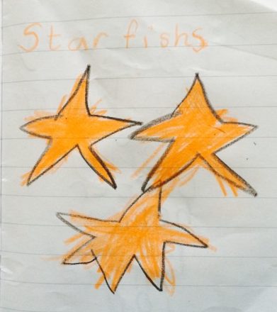Starfish Practice – Getting in Touch with Your Breath | Wake Up Schools